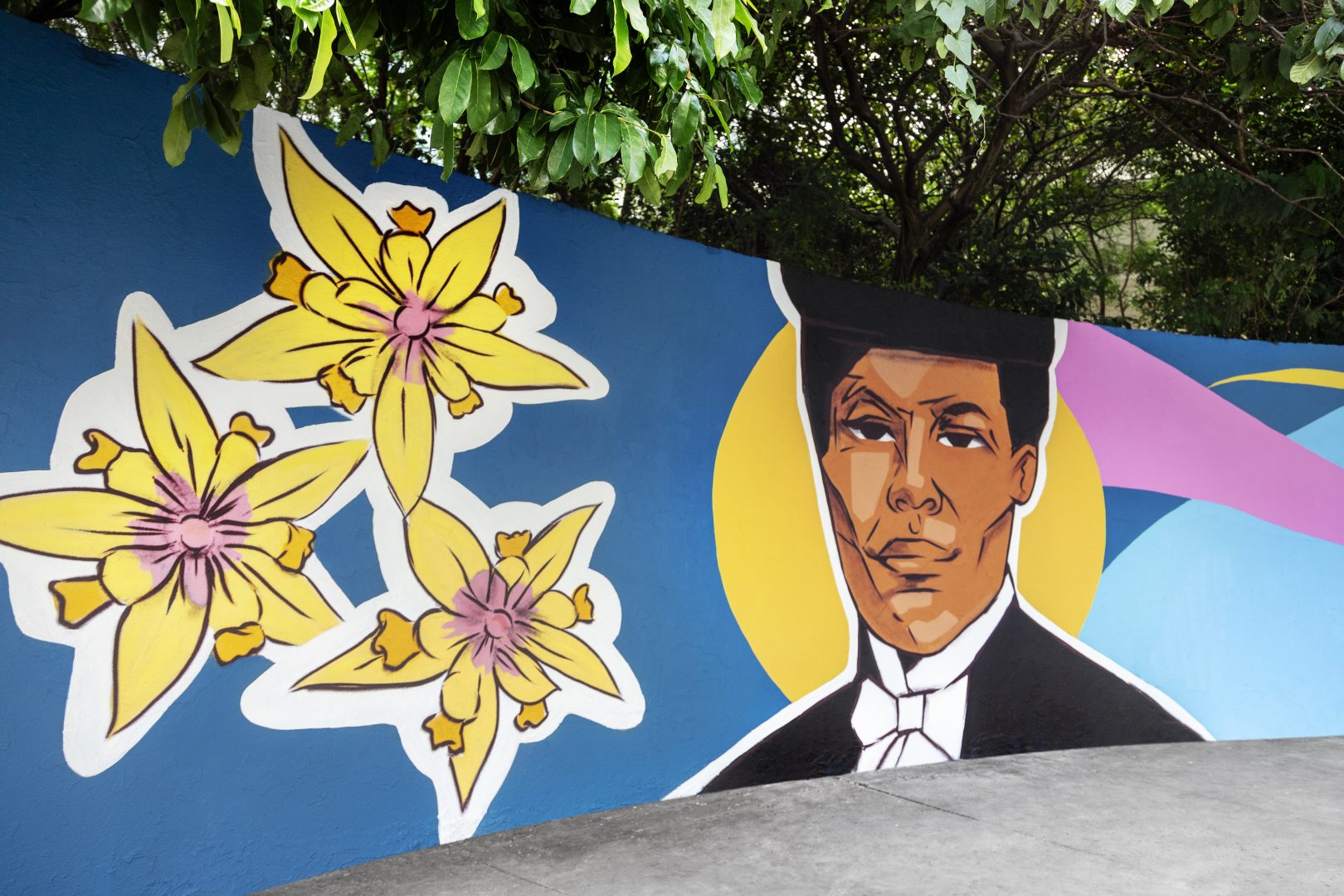 Hapvida NDI lança a campanha “Dar vida a quem inspira a vida” em ...